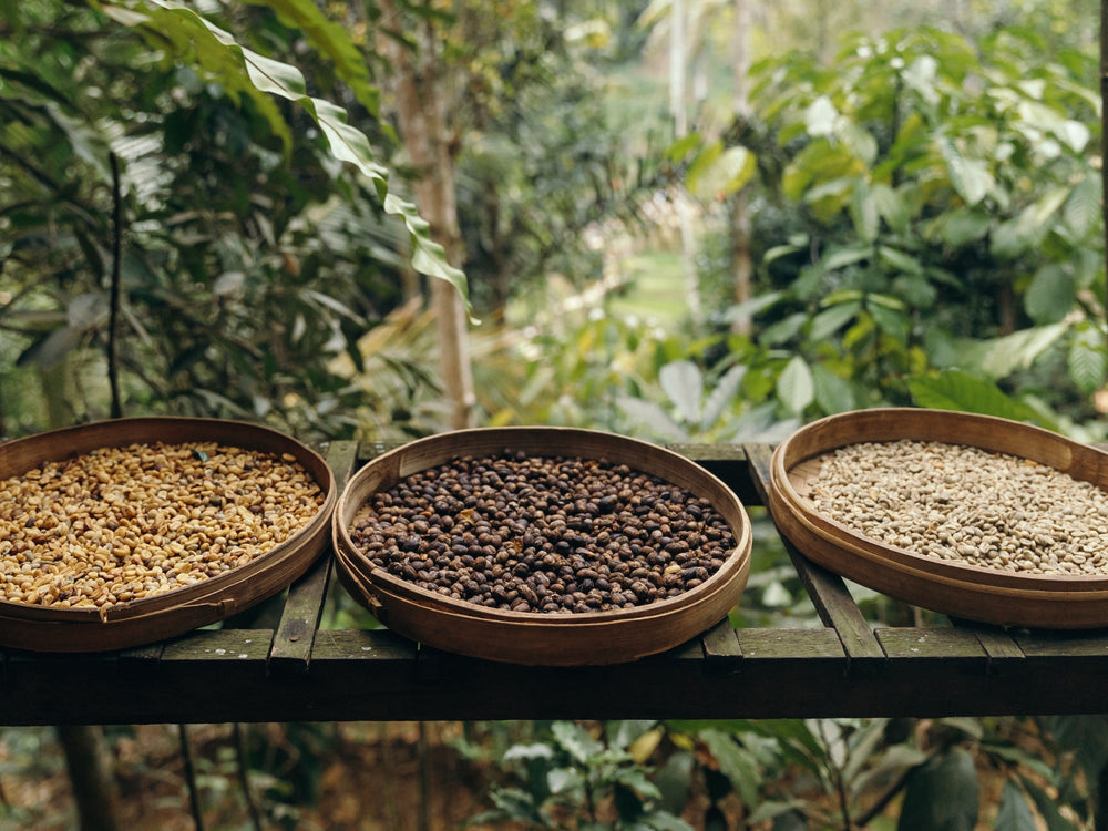 Buy Fresh Coffee & Equipment Online | The Coffee Collective NZ
